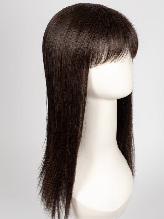 Cher Wig by Ellen Wille | Long & Straight - TWC - The Wig Company